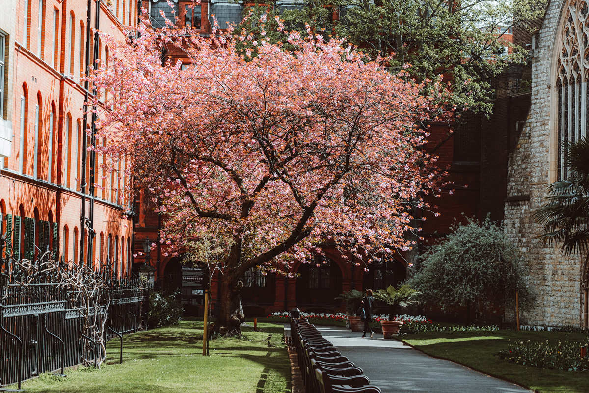 Mayfair, London (An insider’s guide) - Hyde Park Residence